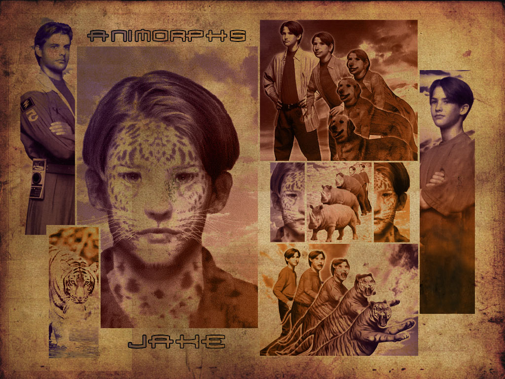 Animorphs - JungleKey.fr Image